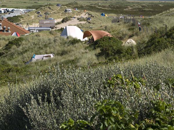 Campieren in den Dünen oder Dünen-Camping auf Sylt ist Kult – WELTEXPRESS