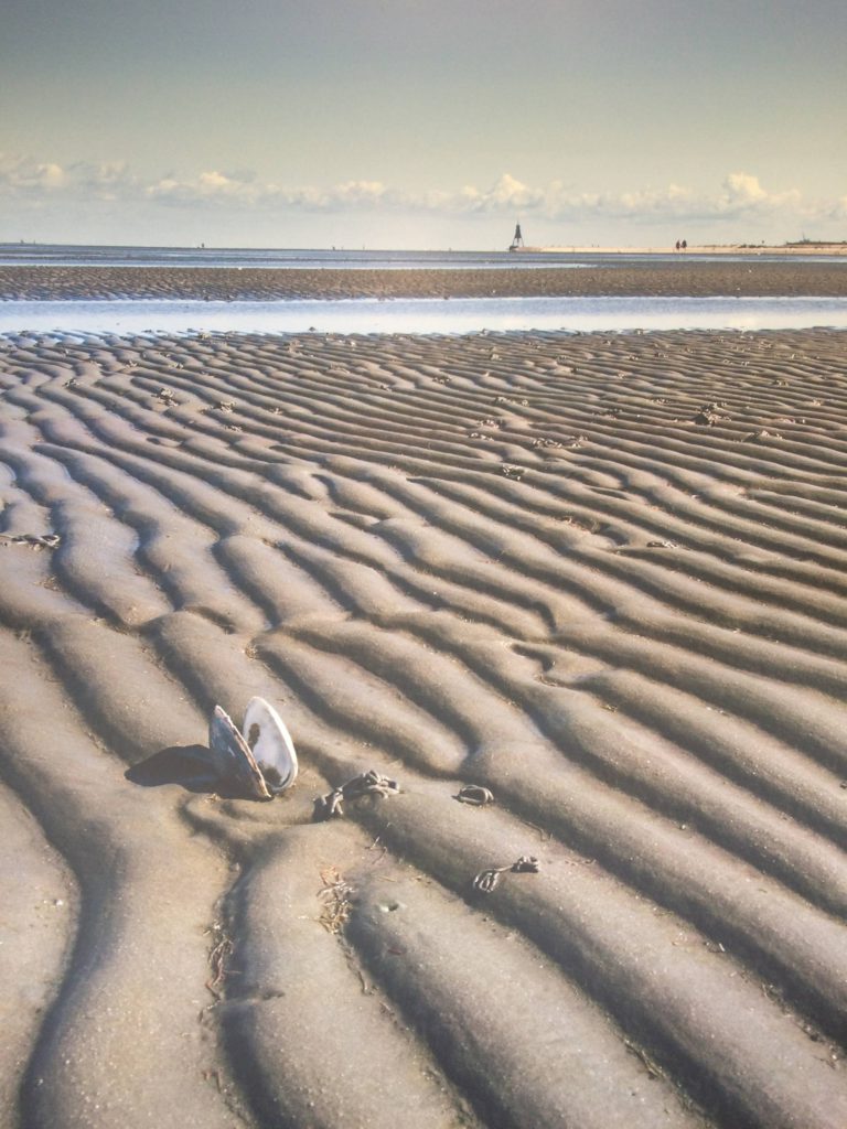 Stilvolle Wattenmeer Besucherzentrum Cuxhaven Ebenbild