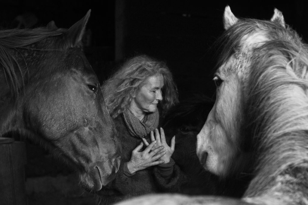 Fotoreportage: Selbstreflektion durch die Beziehung zu Pferden