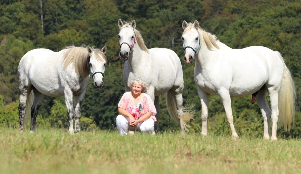 „Coaching mit Pferden“ - Sonja Heinrich von Horse Team Work im Gespräch ...