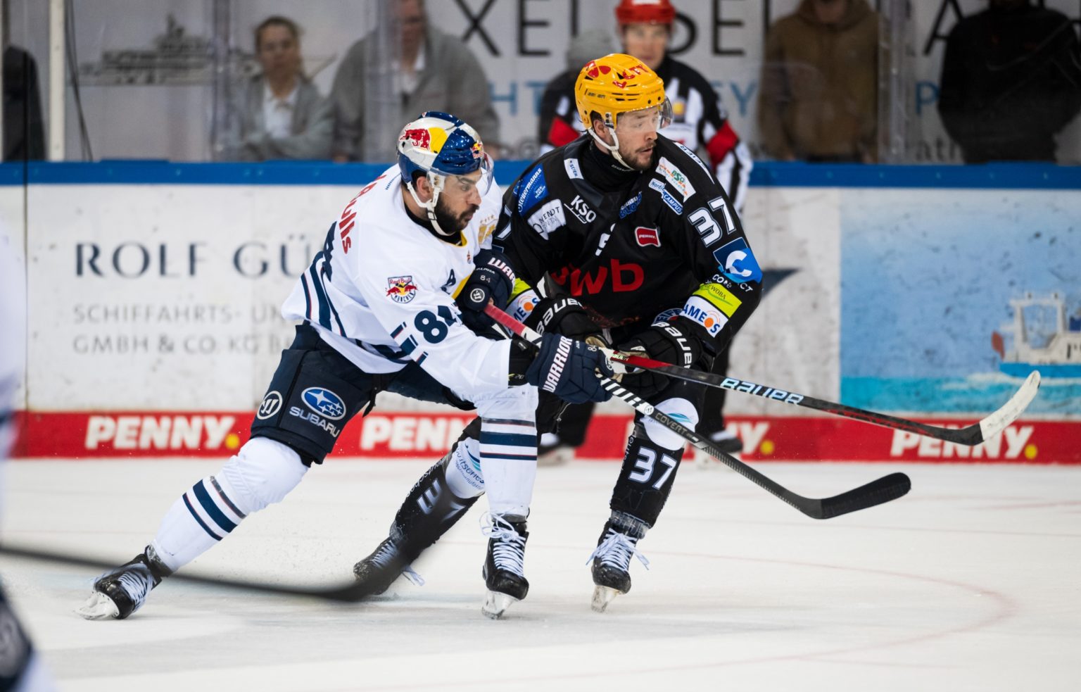 Fischtown Pinguins aus Bremerhaven im Finale – WELTEXPRESS